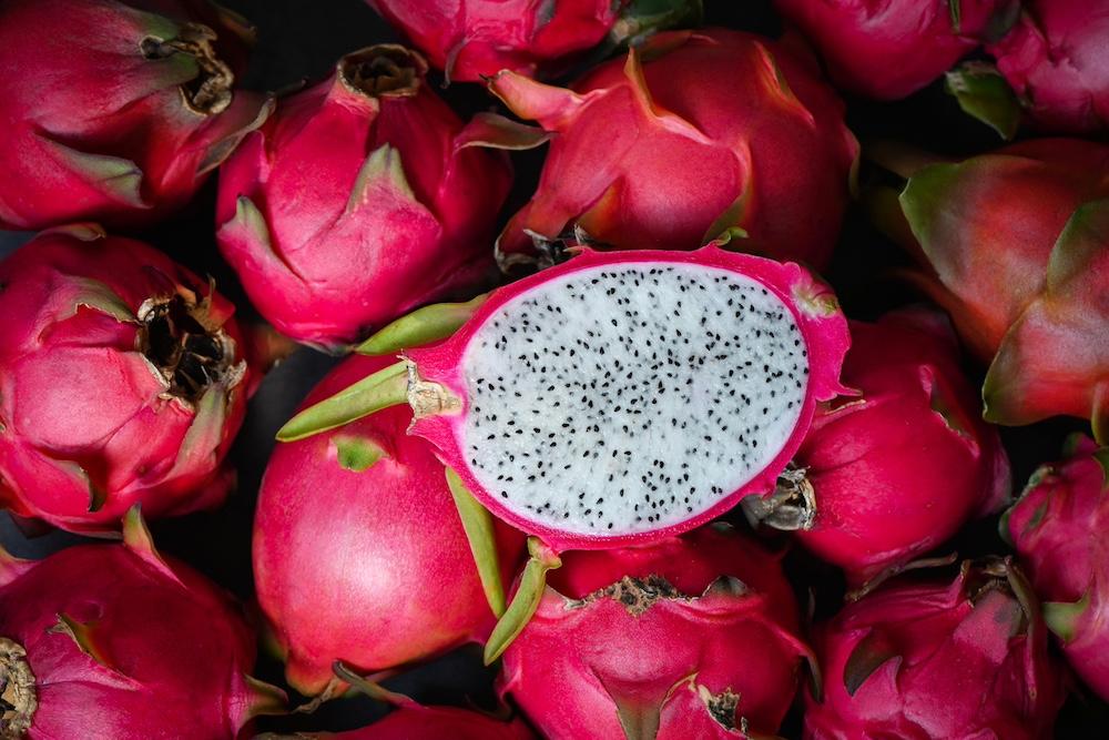 Can Dogs Eat Dragon Fruit? Is It Good for Them? Details Here