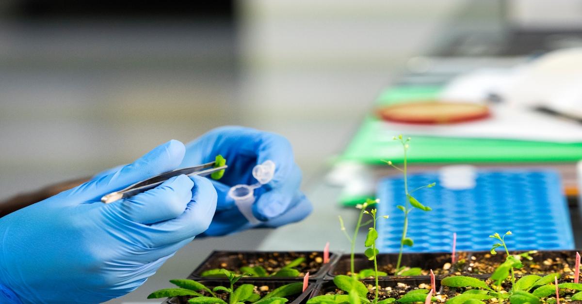 Why is Environmental Health Important?