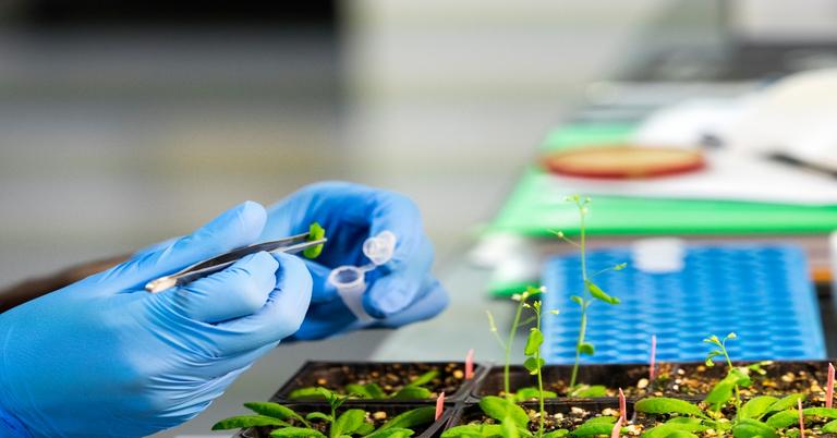 Why is Environmental Health Important?