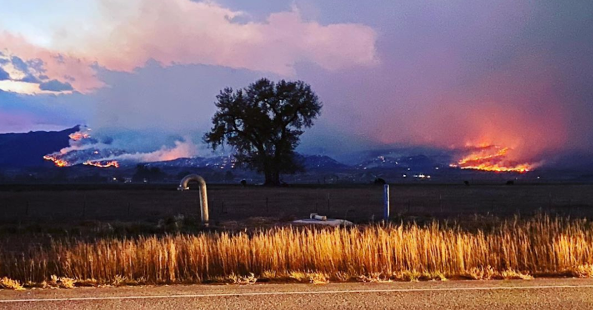The Colorado Fires of 2020 Are Currently Ravaging the Centennial State