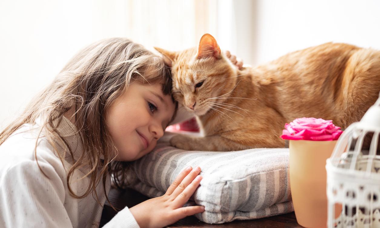 Science Says Cats Smell Good Because of Their Instincts