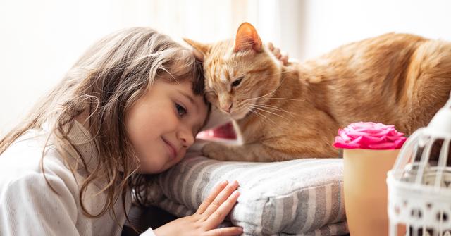 Science Says Cats Smell Good Because of Their Instincts