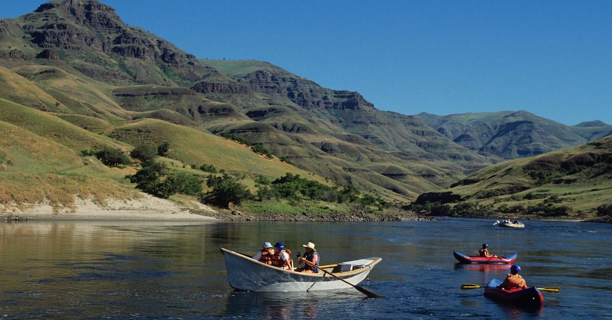 U.S. Freshwater Fish Contaminated With High Levels of PFAS, Study Shows