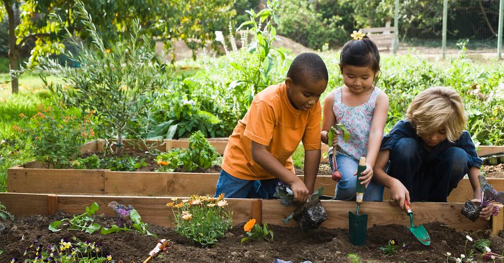 How to Join or Start a Community Garden