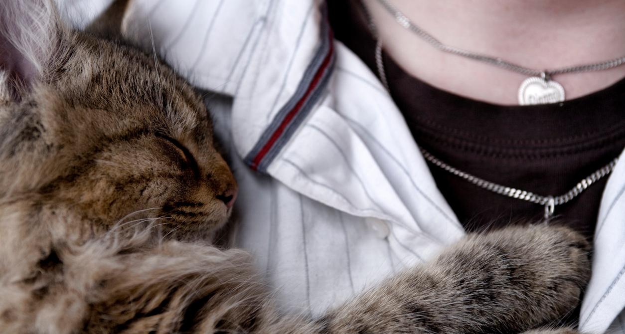 Does My Cat Sleeping on My Chest Have a Spiritual Meaning?
