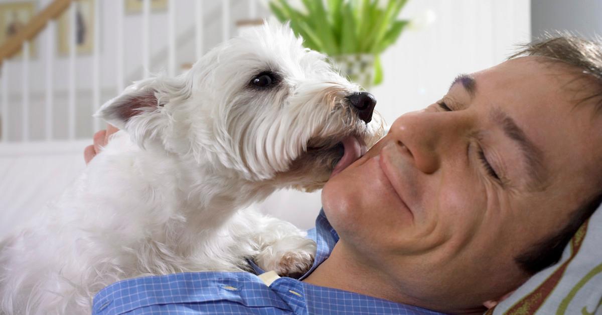 The Best Ways to Tell Your Dogs You Love Them