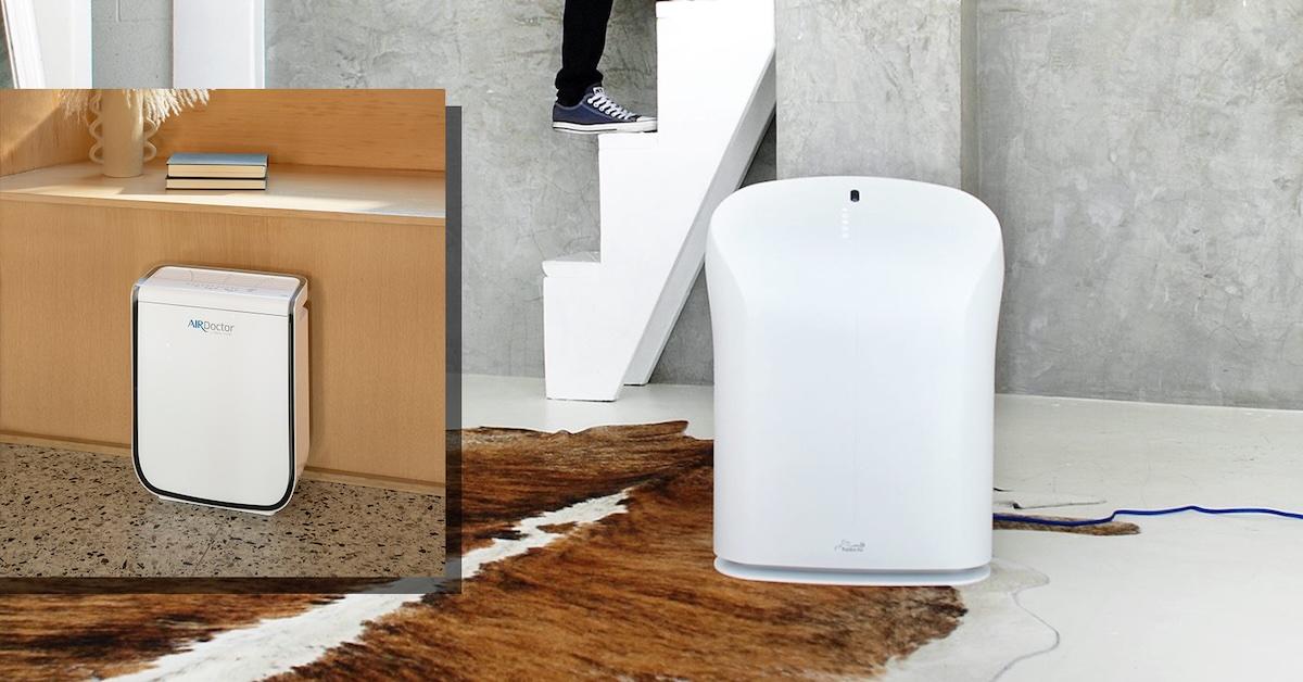 10 Best Air Purifiers for Homes of All Sizes