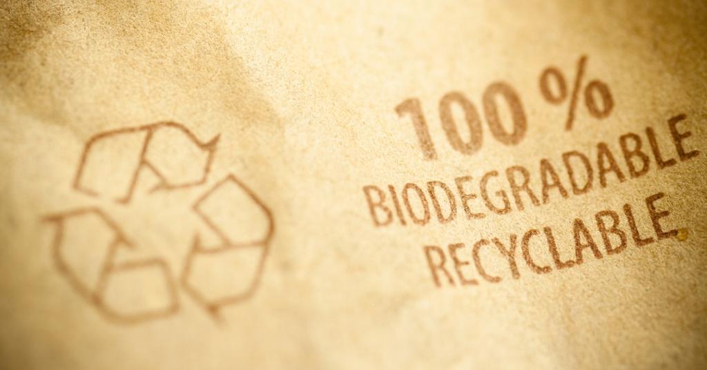What Does Biodegradable Mean?