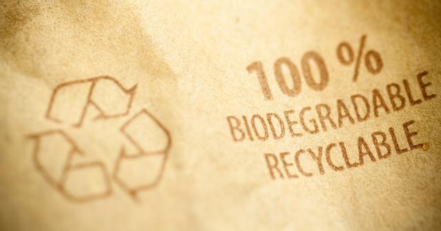 What Does Biodegradable Mean?