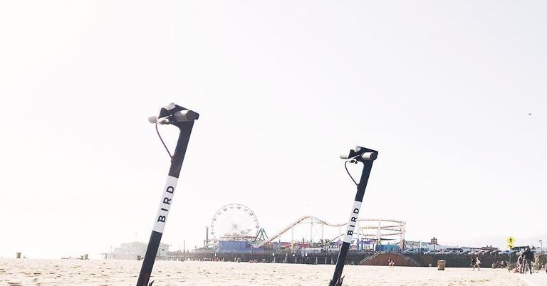 Bird Electric Scooter Is The Latest Eco-Friendly Rideshare