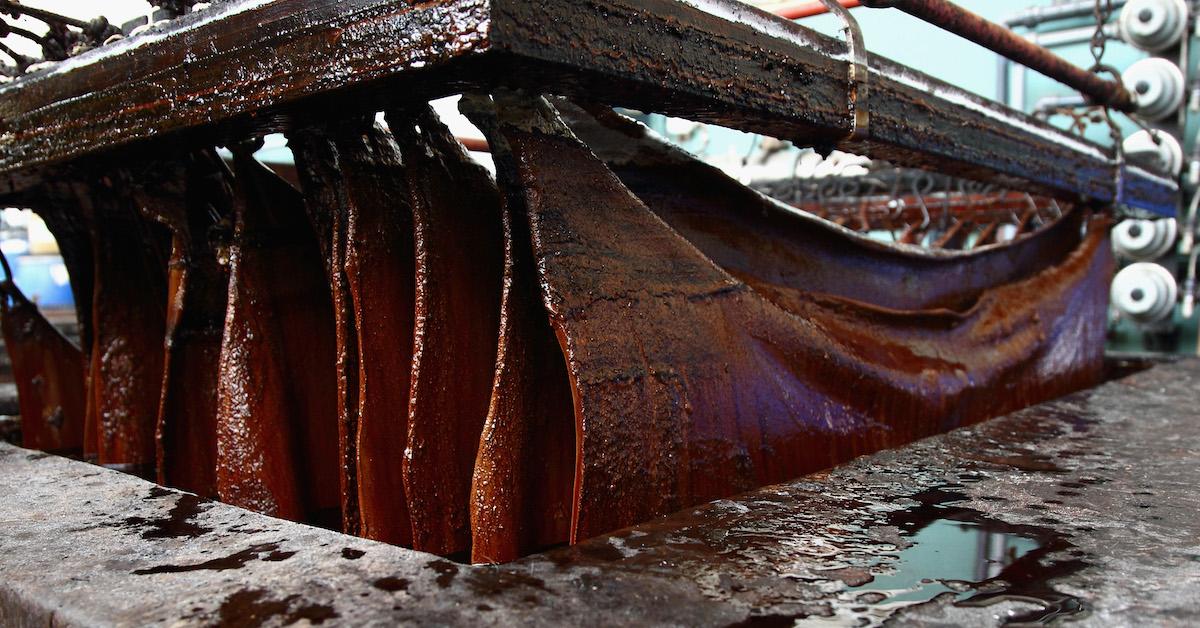 Is Leather Bad for the Environment? New Report Investigates Industry's ...