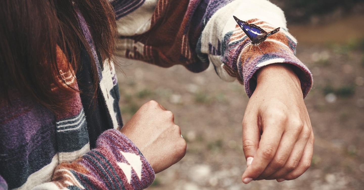 What It Means When a Butterfly Lands on You: Spiritual Interpretations