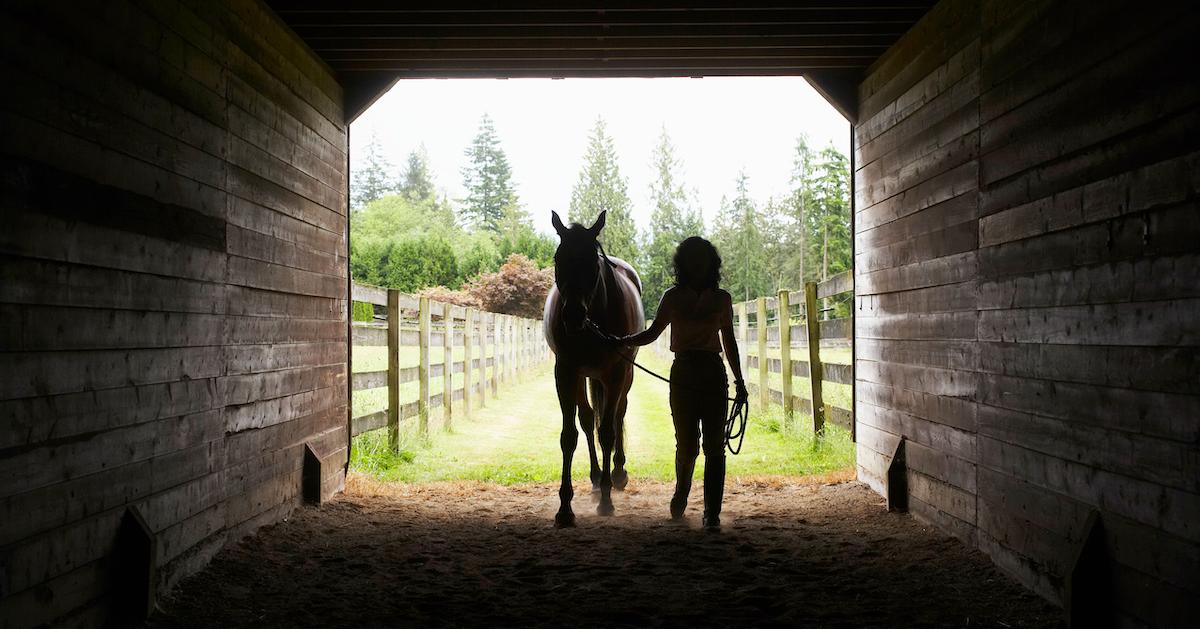 Horse Rescues That Offer Riding Benefit Both Humans and Animals Alike