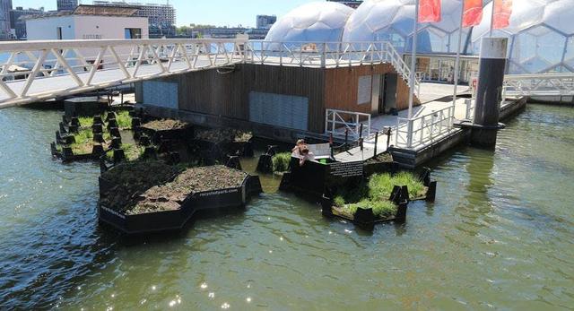 Rotterdam Made A Floating Park Entirely From Recycled Plastic Waste