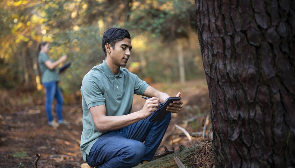 Is Environmental Science Hard? All About This Valuable Field