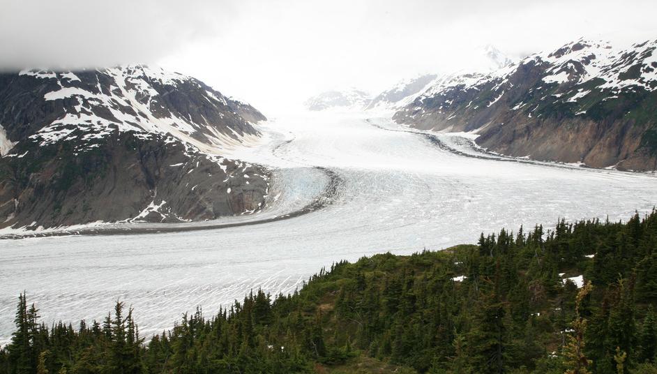 What Causes Watermelon Snow? Snow Is Appearing Pink