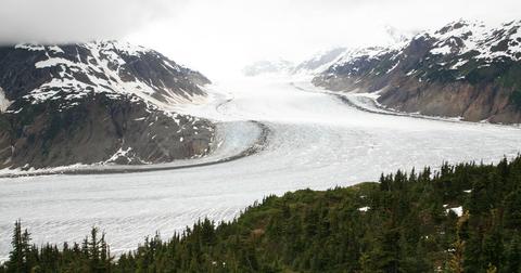What Causes Watermelon Snow? Snow Is Appearing Pink