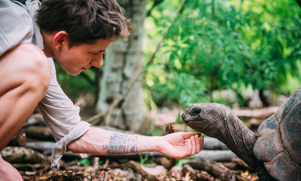 Turtle Rescue Near Me: The Best Turtle Rescues Nationwide