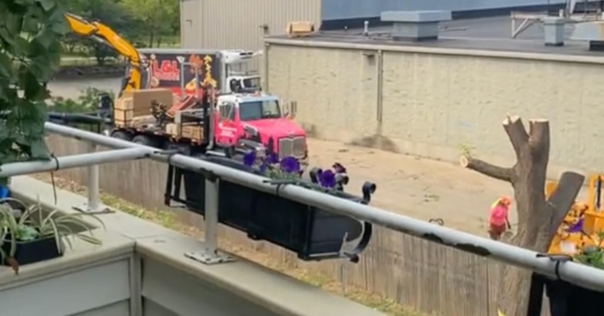 Viral Video Shows Result of Clear Cutting Trees From an Apartment Backyard