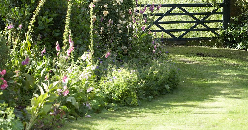 Your Guide to Shade Gardening: 14 Plants That Thrive in Low Light