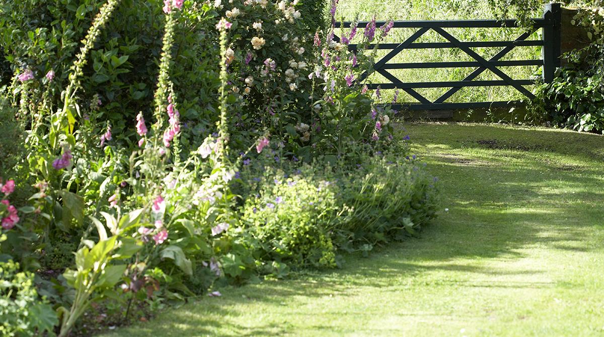 Your Guide to Shade Gardening: 14 Plants That Thrive in Low Light