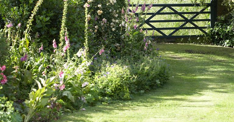 Your Guide to Shade Gardening: 14 Plants That Thrive in Low Light