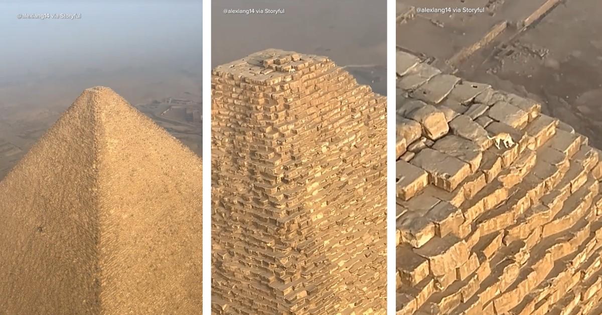 Dog on Pyramid in Egypt in Viral Video Leaves Internet Confused