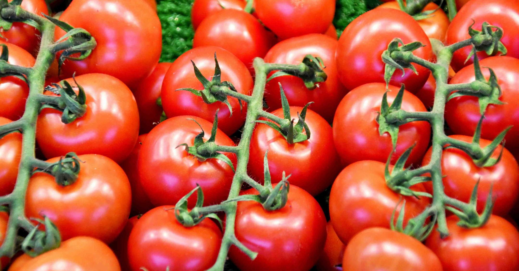 All About the Deadly Tomato Recall of 2025