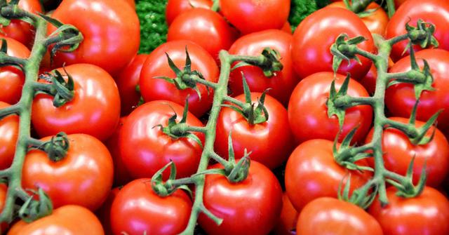 All About the Deadly Tomato Recall of 2025