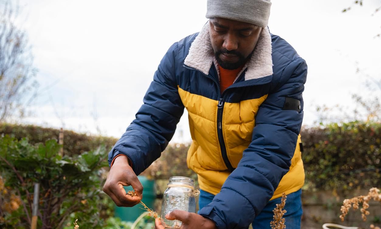 What Is Landrace Gardening?