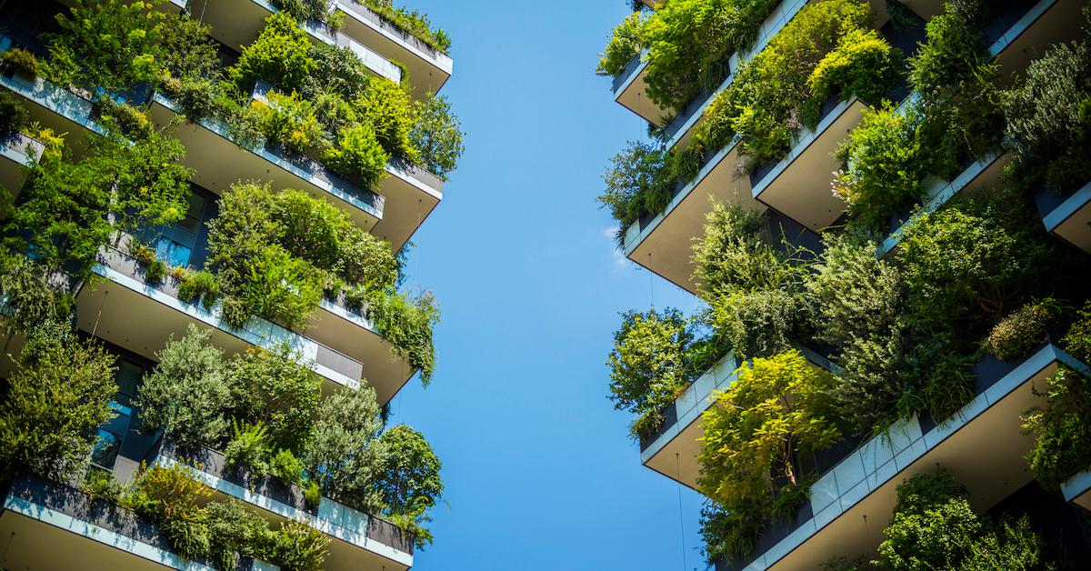 What Is Sustainable Development?