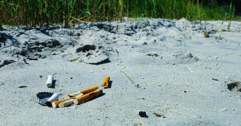 Cigarette Filters Are Toxic to Mosquito Larvae and More