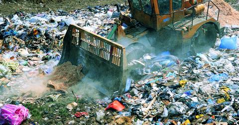 How Does Recycling Prevent Pollution? Here's What You Should Know