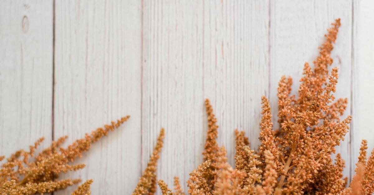 Amaranth's History and Health Benefits Are Both Surprisingly Extensive