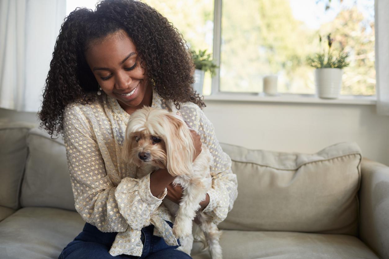 Peppermint Oil Is Versatile, but Can You Use It for Your Dog?