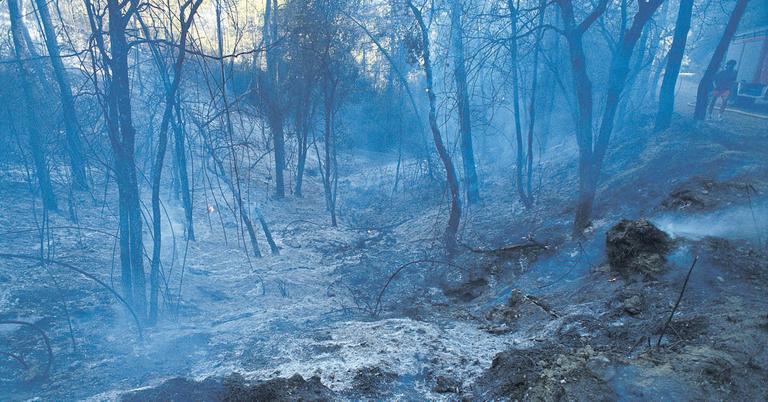 Are Wildfires and Droughts Related? Here's Why They Go Hand-in-Hand