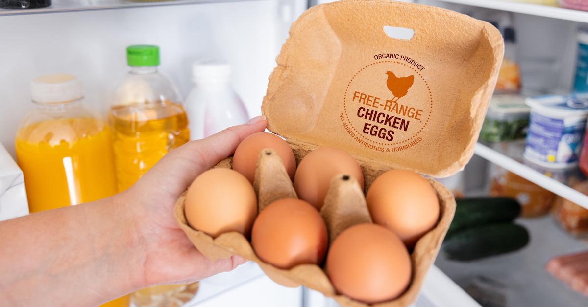 What Is Humane Washing? How Animal Products Deceive Customers