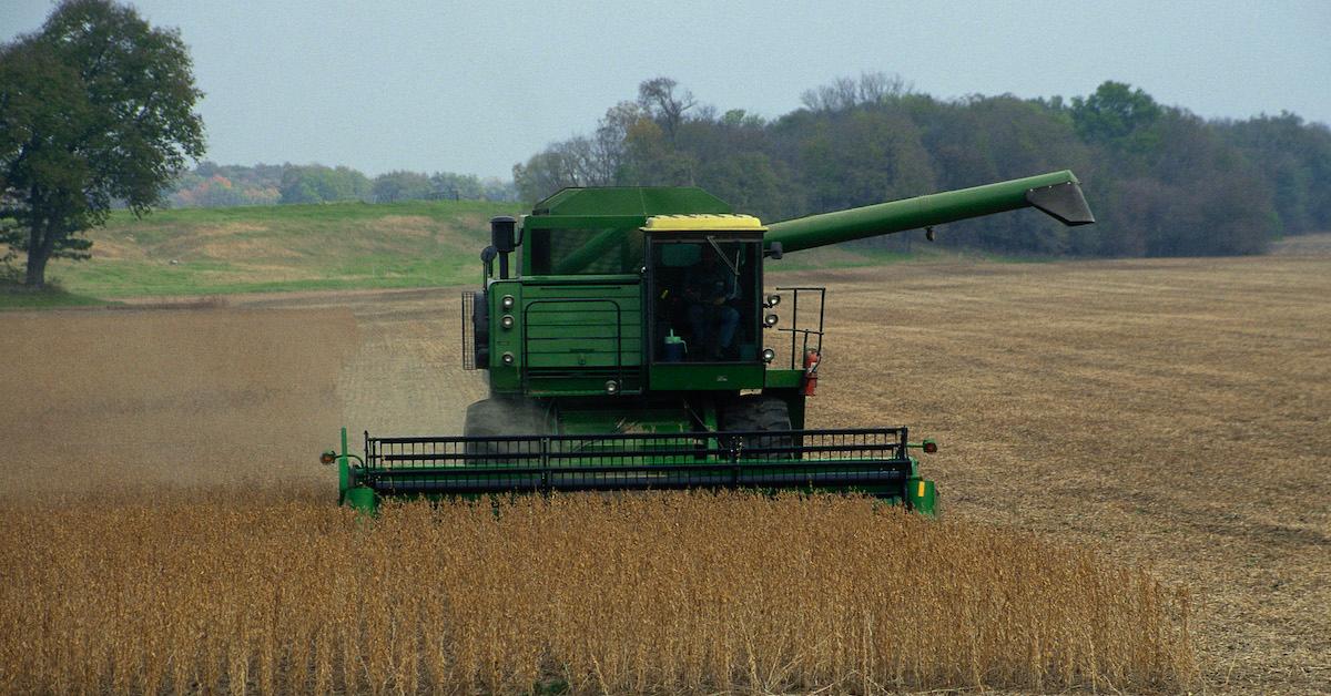What Is the Impact of Soy Farming? Here’s What You Should Know