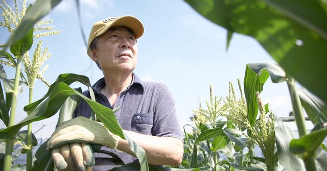 How Does the Heat Wave Affect Crops? Farmers Are Suffering Right Now