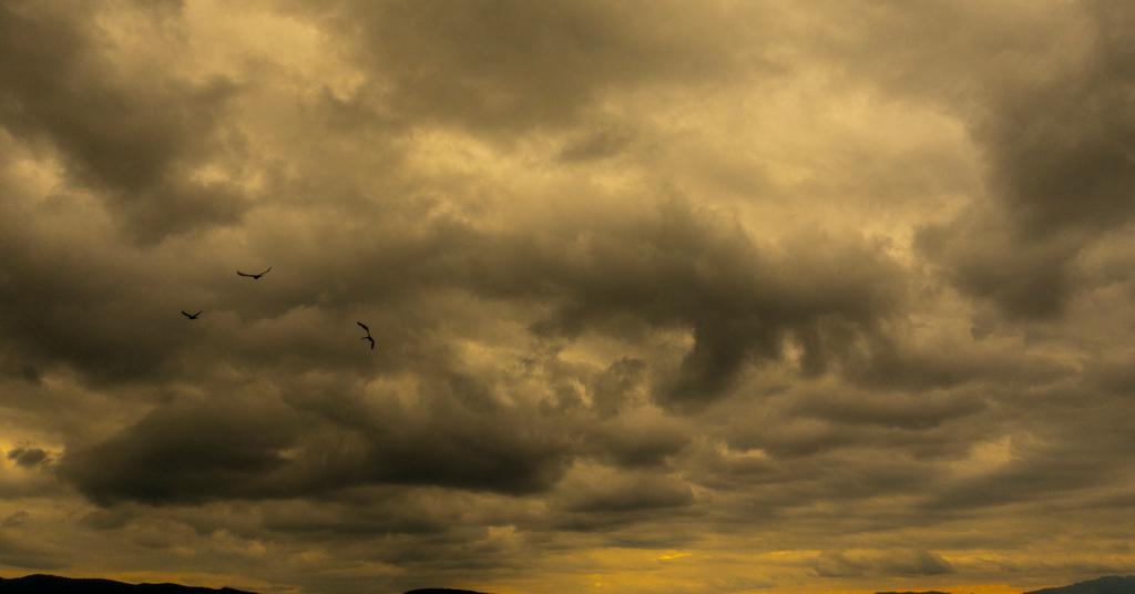 Why Is the Sky Yellow? Don't Worry, the World Isn't Ending Yet