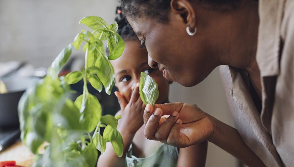 How to Spruce up Your Apartment and Start a Garden