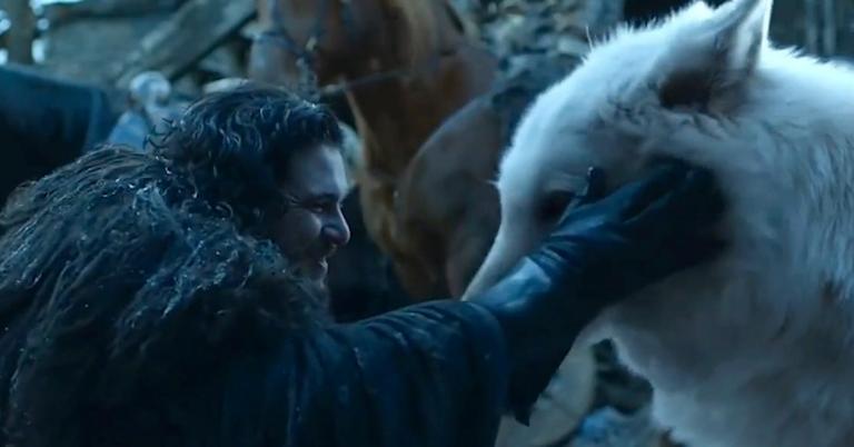 Why Did Dire Wolves Go Extinct? Plus, Just How Big Were They?