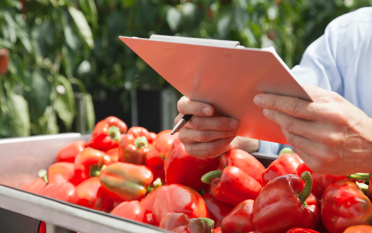 Are GMOs Safe?