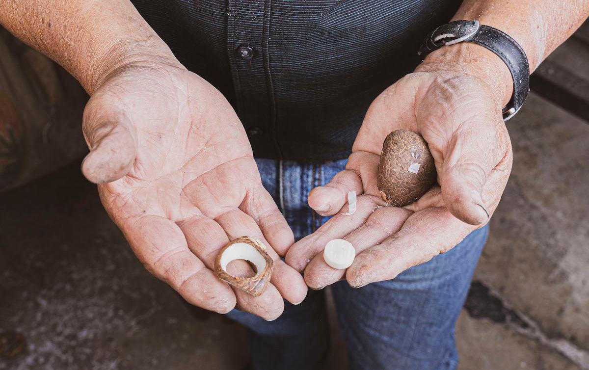 Vegetable Ivory Is a Sustainable Alternative to Plastic