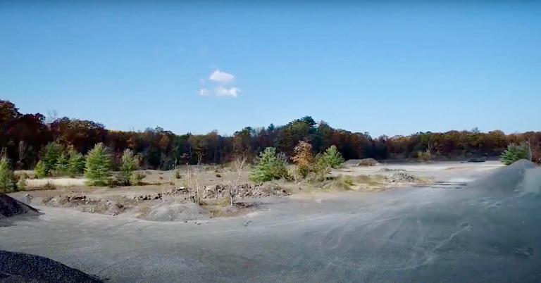 The World's Oldest Forest Is Surprisingly in Upstate New York