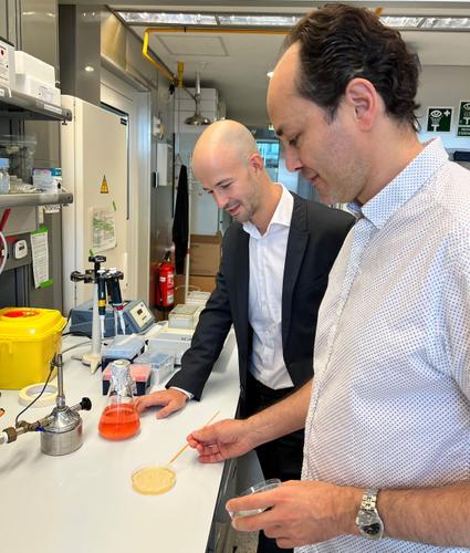 Lab-Grown Cheese Is the Newest Wave to Disrupt the Dairy Industry