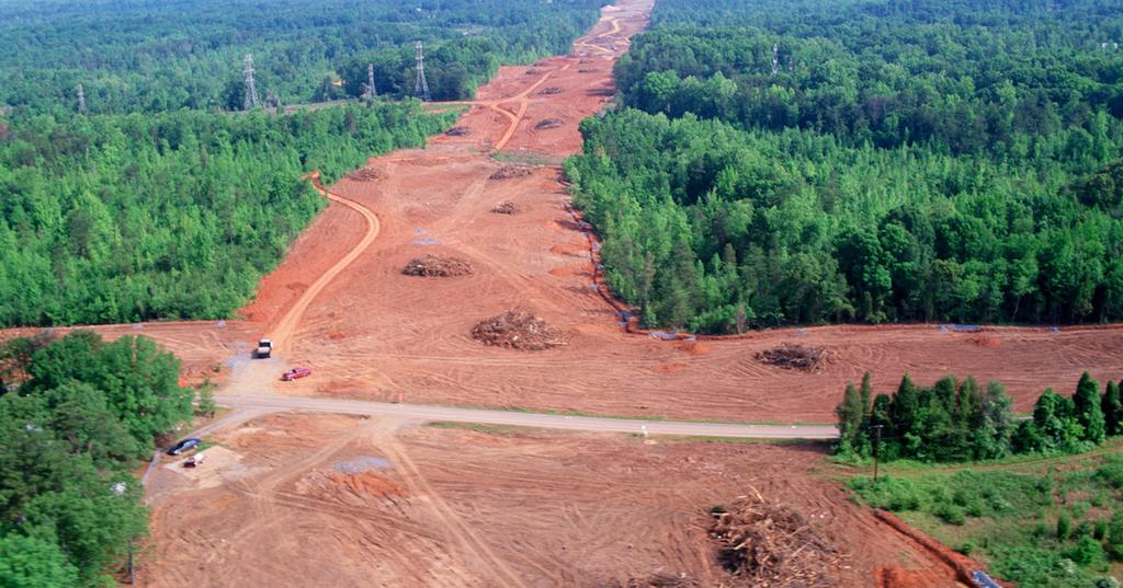 Is Deforestation Increasing?