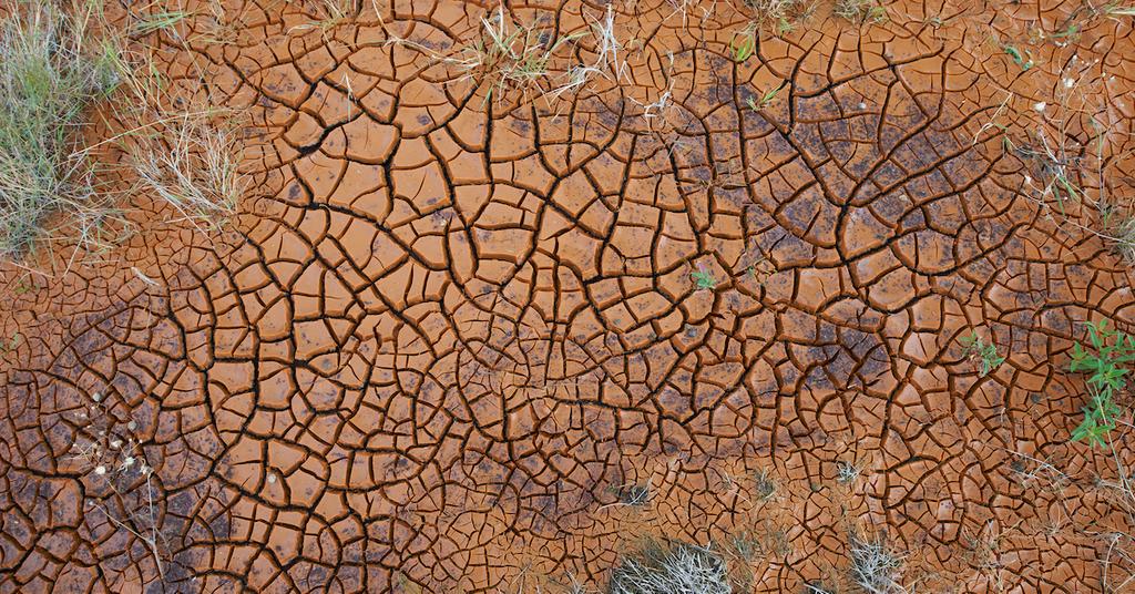 Chile’s Drought Has Lasted 13 Years, and Water Is Being Rationed