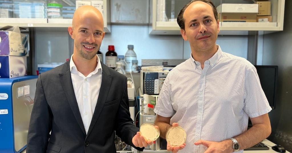 Lab-Grown Cheese Is the Newest Wave to Disrupt the Dairy Industry