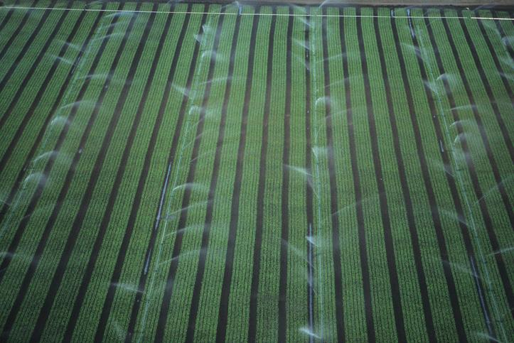 Climate Change Threatens Agriculture, and Vise Versa